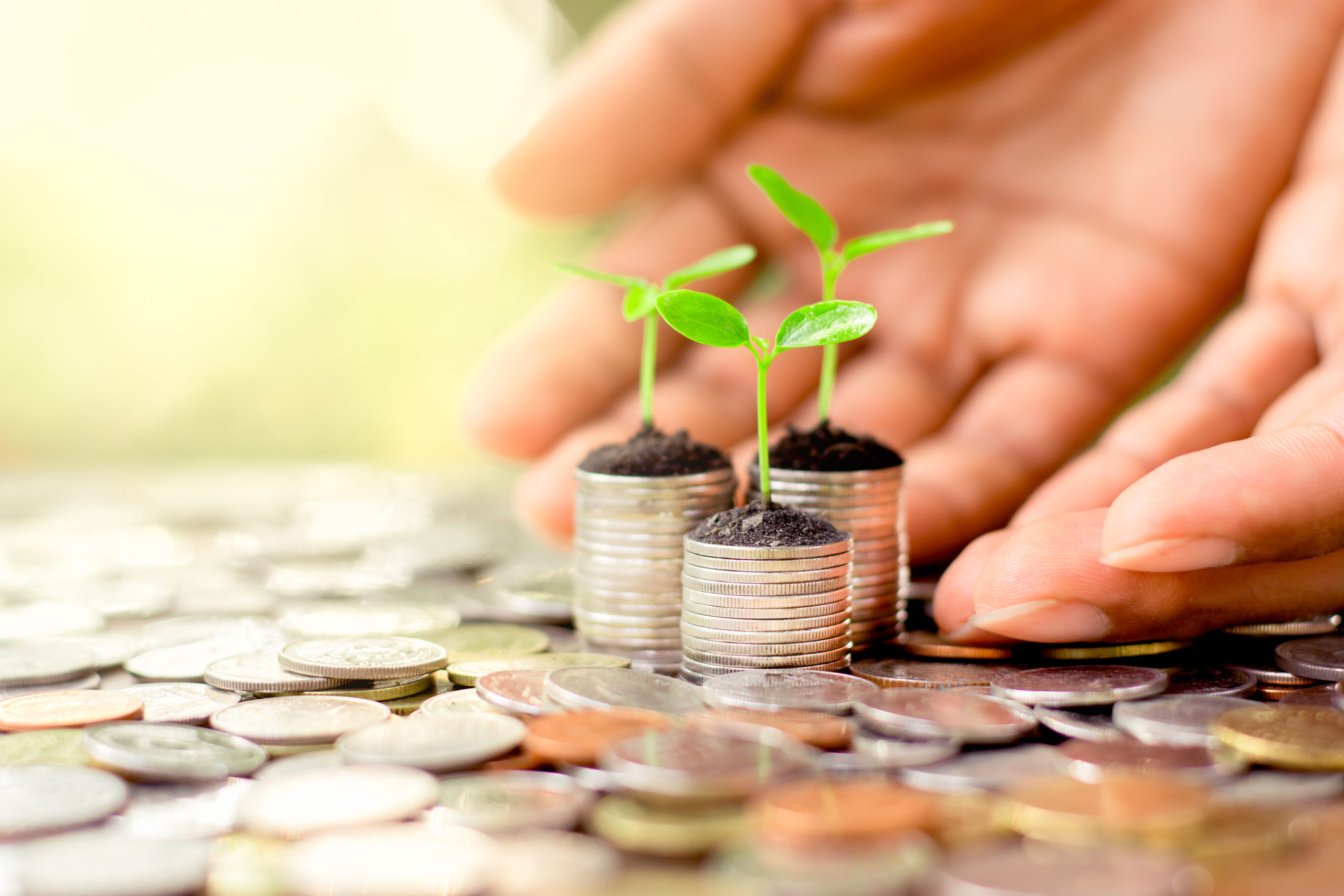 Guide to Canadian Small Business Financing - Connect4Commerce